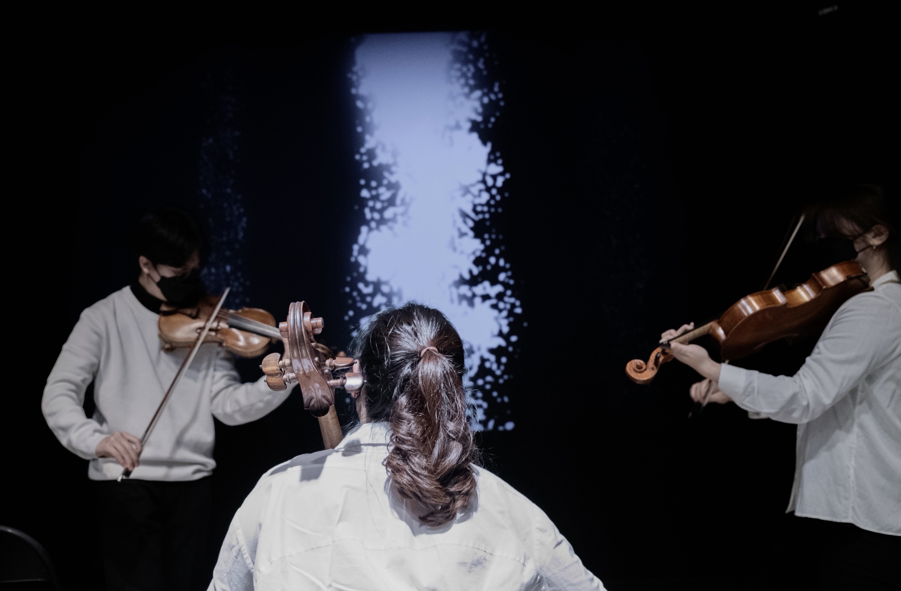 Diffusion | Freddie Hong